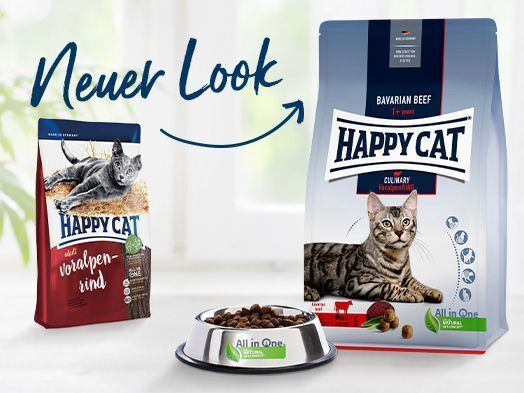 The history of Happy Cat