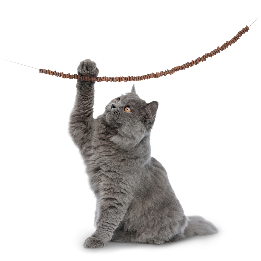 Happy Cat Katzenfutter – Made in Germany