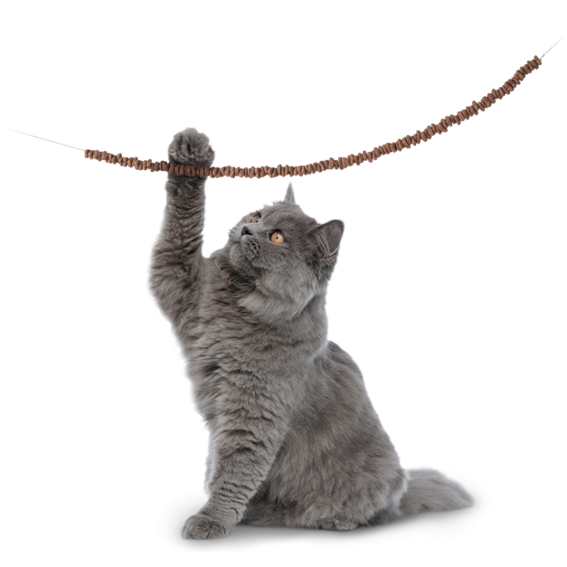 Happy Cat Katzenfutter – Made in Germany